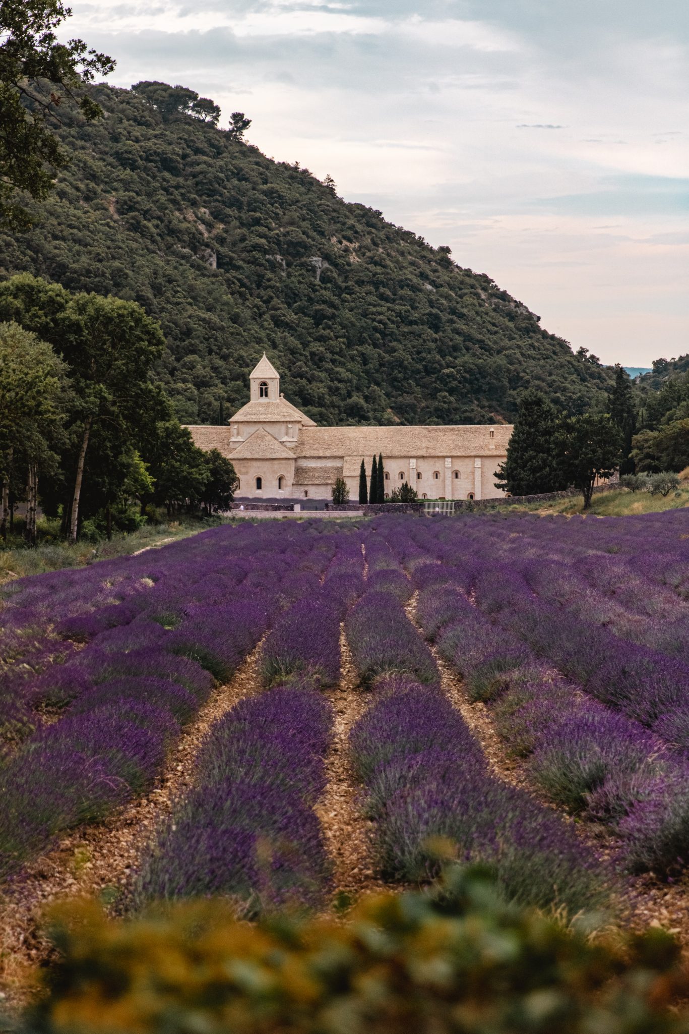 Guía de viaje: Qué ver en la Provenza francesa en 5 días